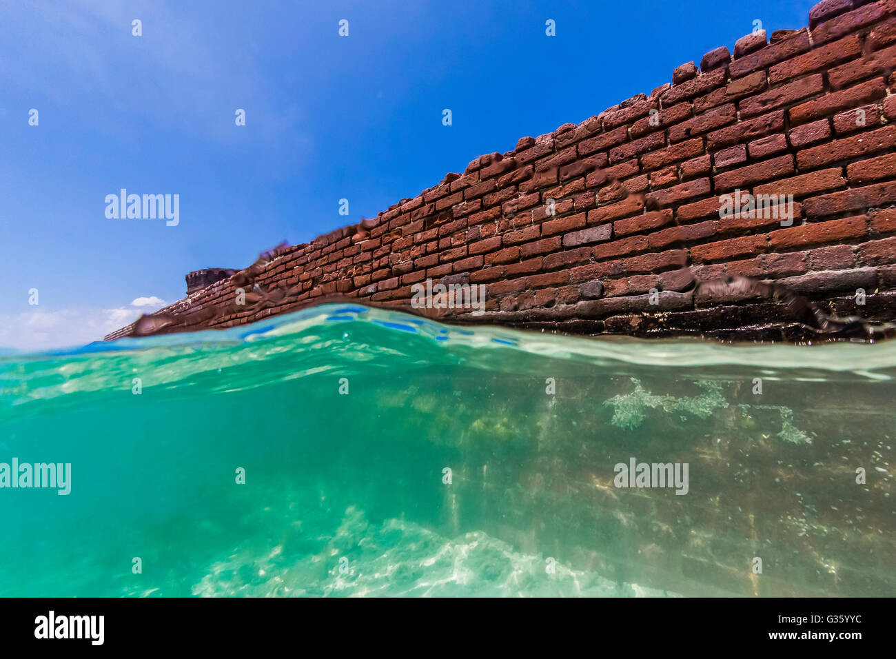 Underwater garden mexico hi-res stock photography and images - Alamy