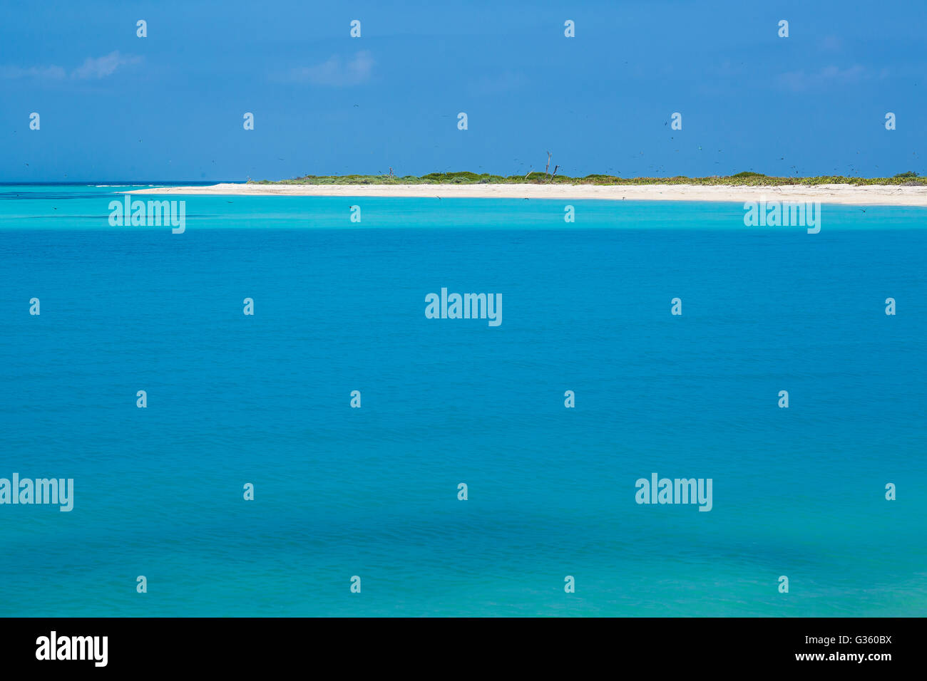 Bush Key, a nesting site for over 100,000 birds, in Dry Tortugas ...
