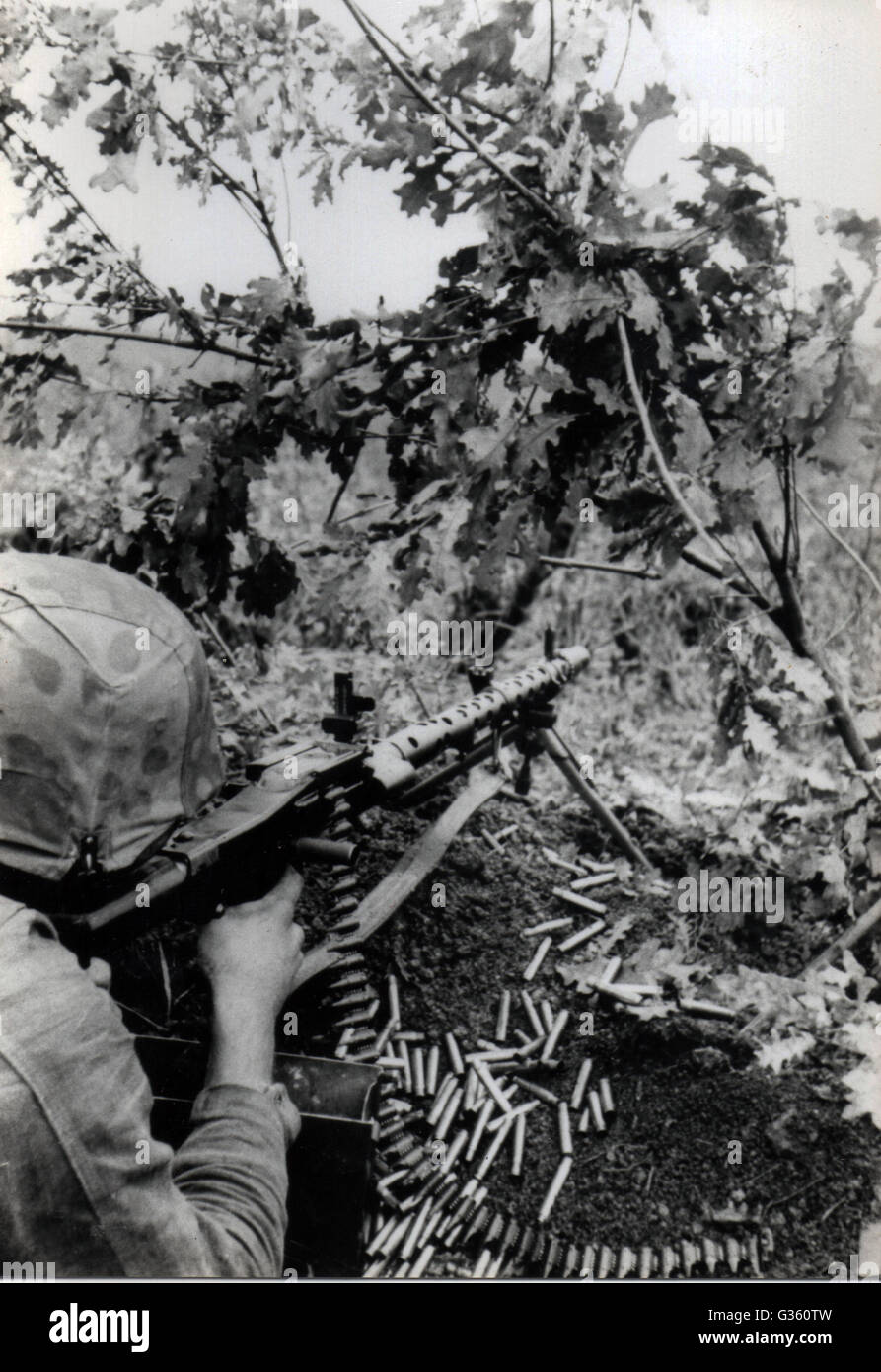 Waffen ss on the russian front hi-res stock photography and images - Alamy