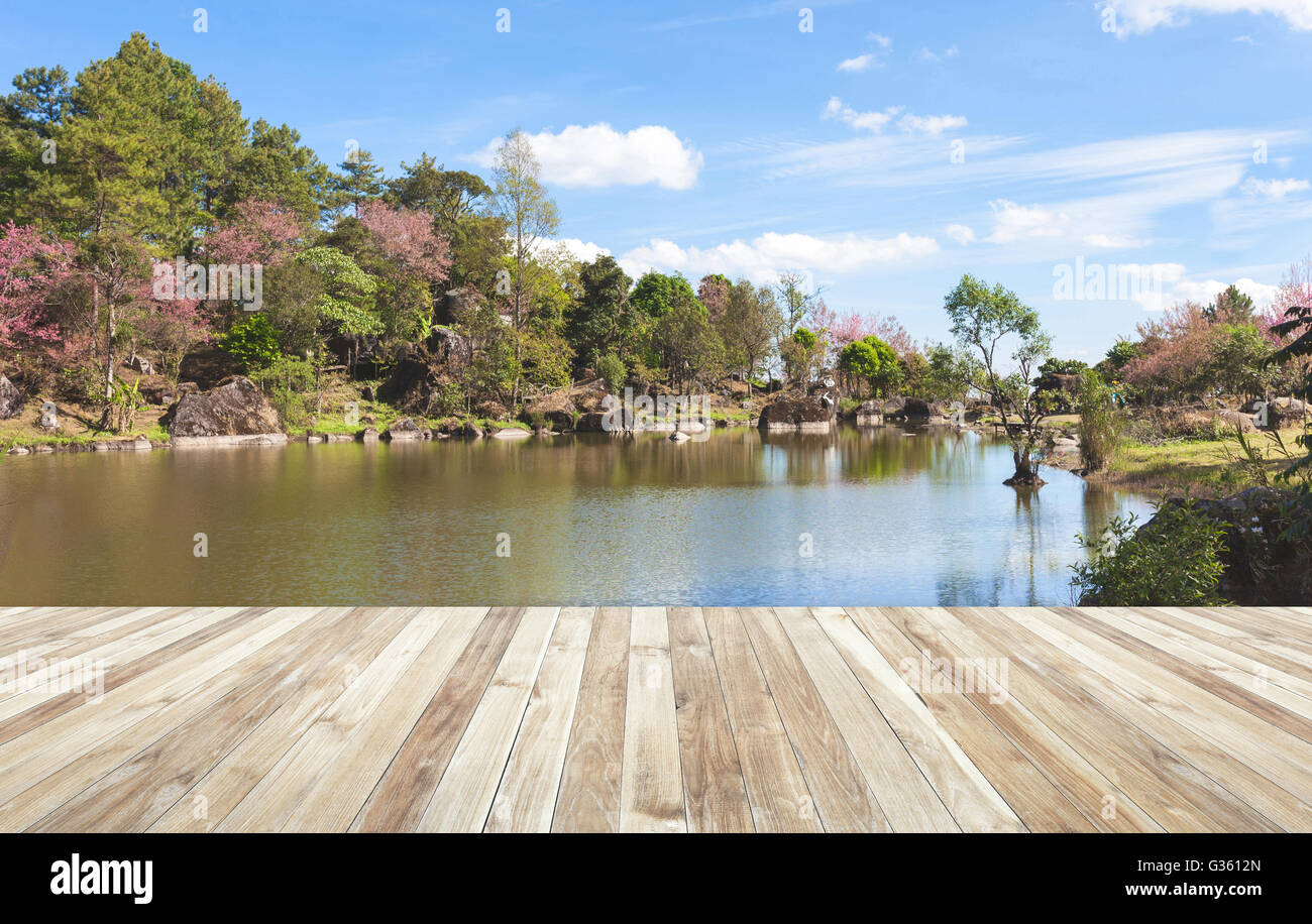 Wood table and river and stone with tree in forest beautiful nature of ...
