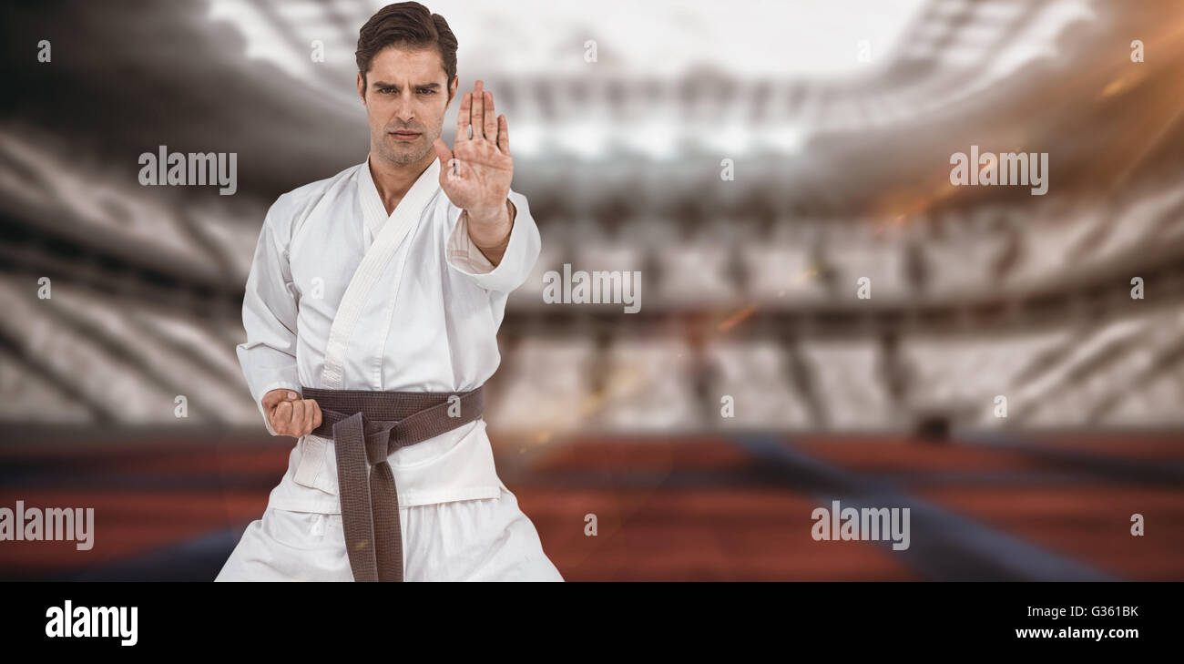 Composite image of portrait of fighter performing karate stance Stock ...