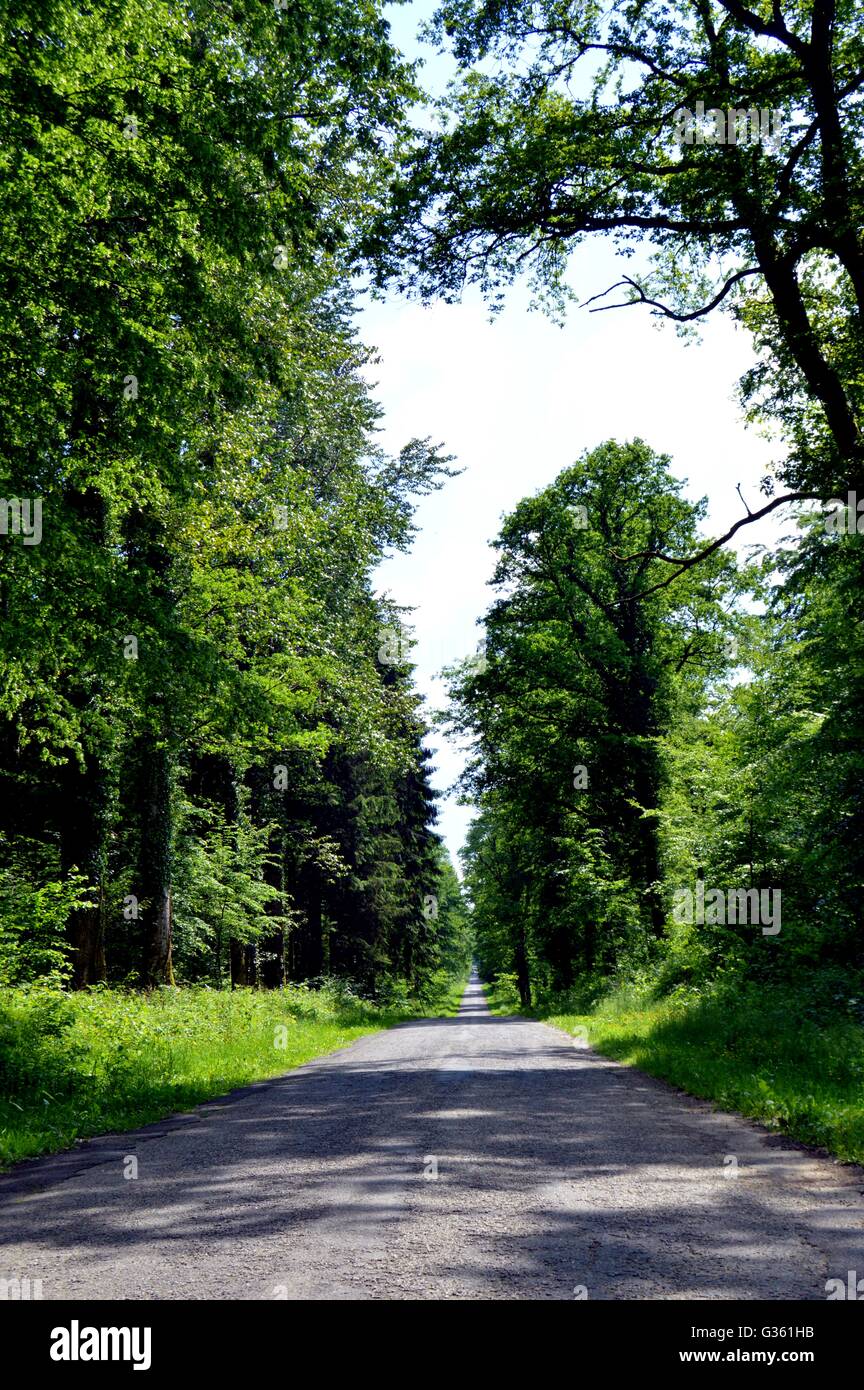 Straight line hi-res stock photography and images - Alamy