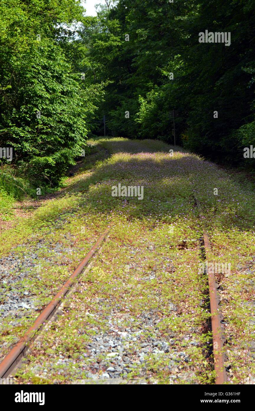 Abandoned railroad hi-res stock photography and images - Alamy