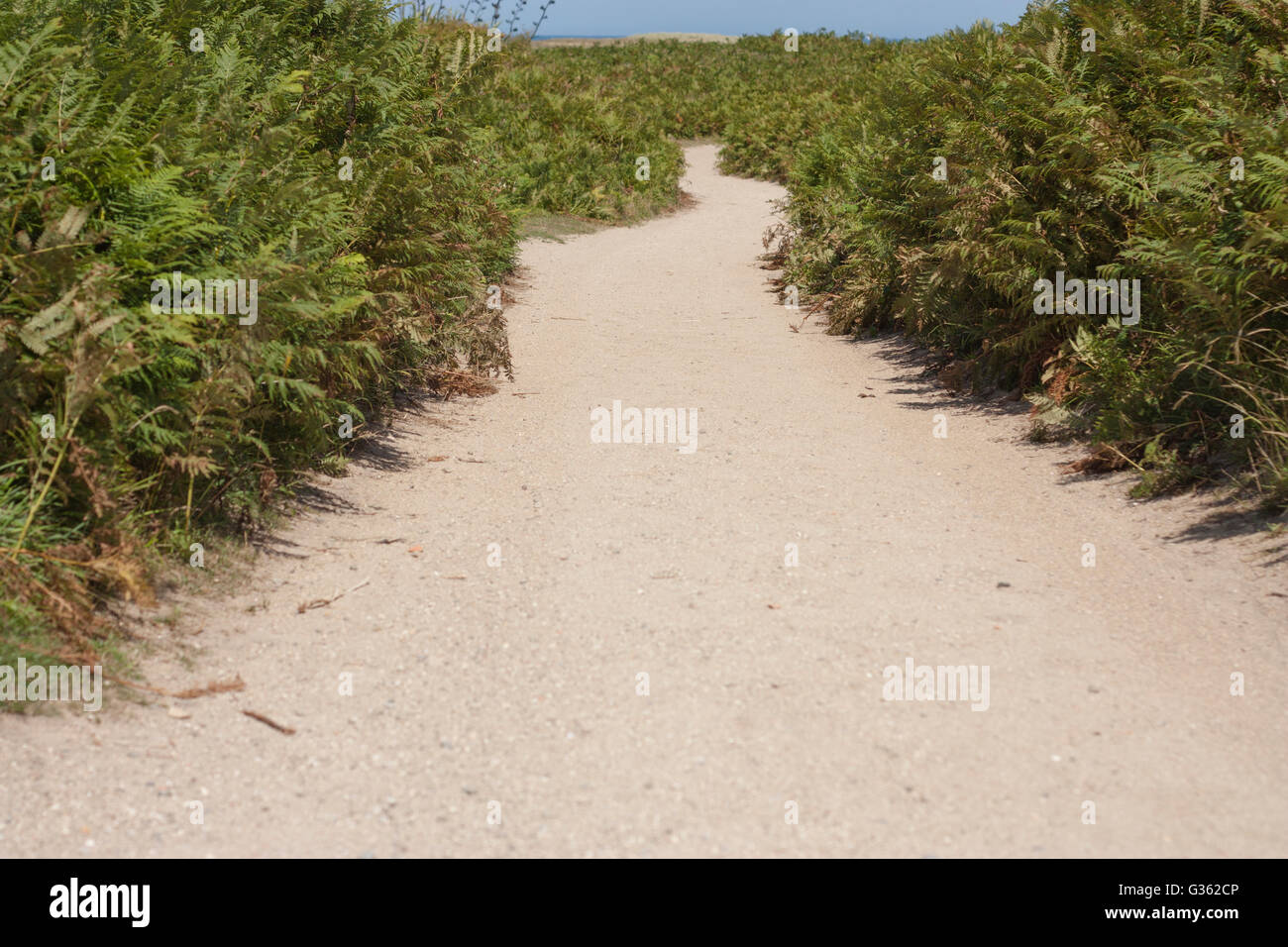 Windy pathway hi-res stock photography and images - Alamy