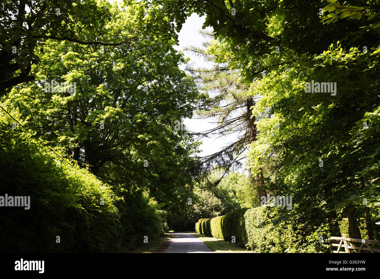 Tree lined borders hi-res stock photography and images - Alamy