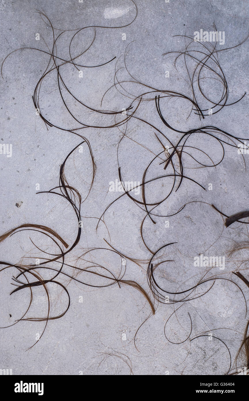 Clippings or Locks of Hair on a grey concrete floor Background Stock ...