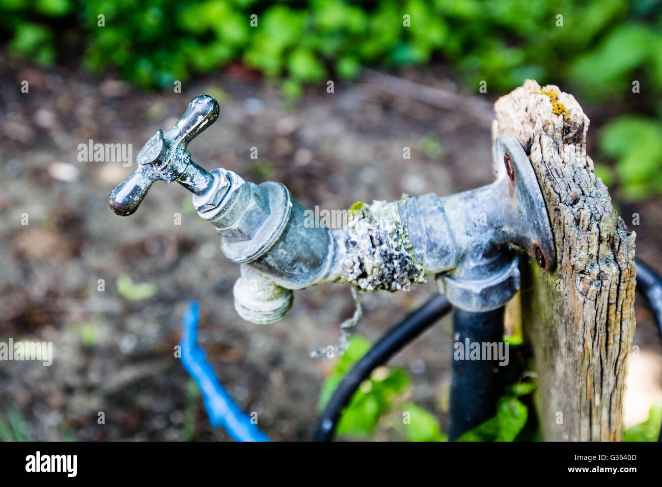 Garden water standpipe hi-res stock photography and images - Alamy