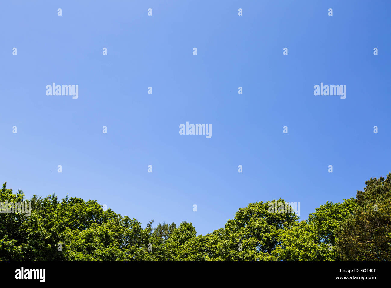 Gardens clear sky hi-res stock photography and images - Alamy