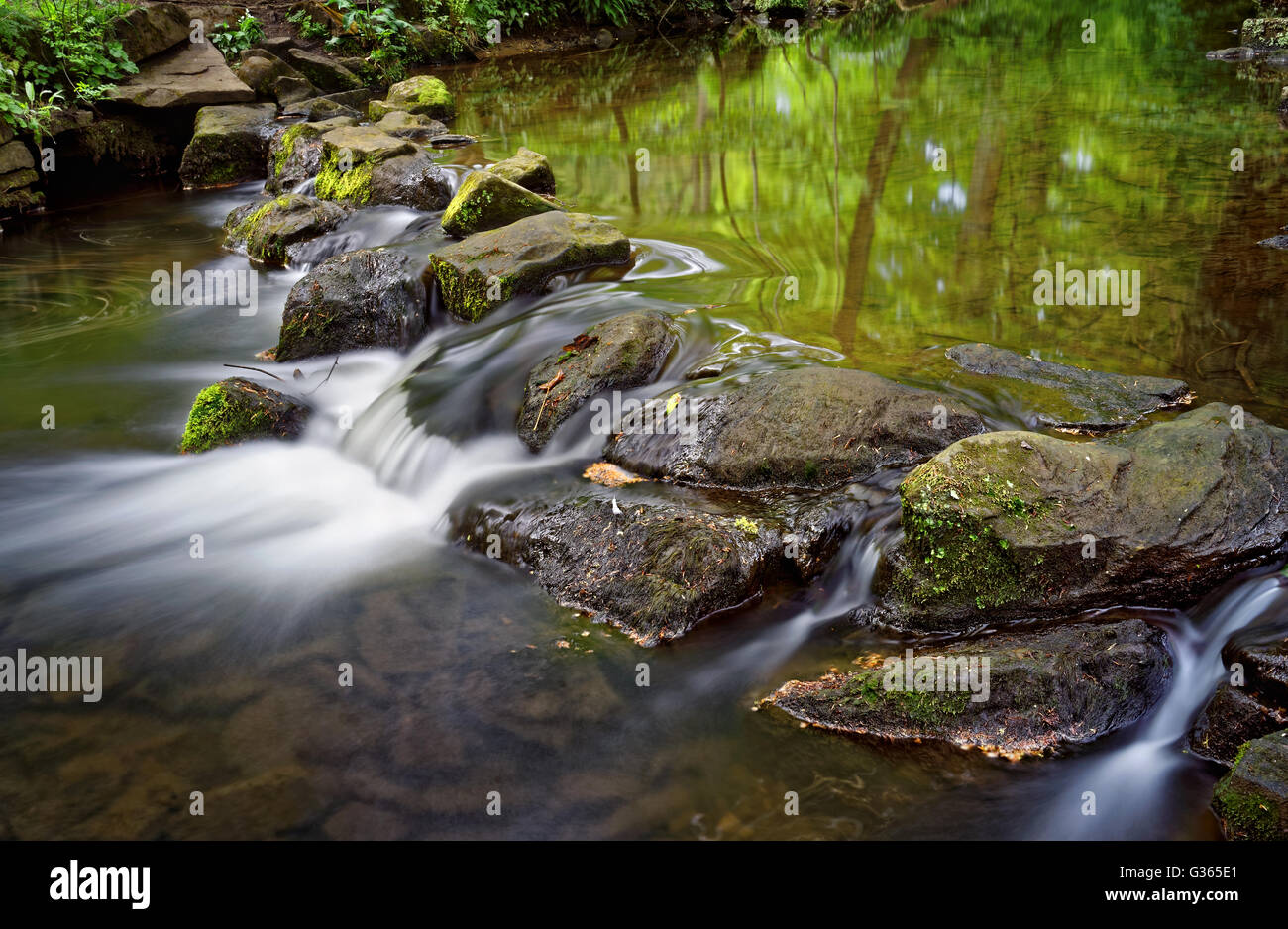 UK,South Yorkshire,Sheffield,Endcliffe Park,Porter Brook Waterfall ...