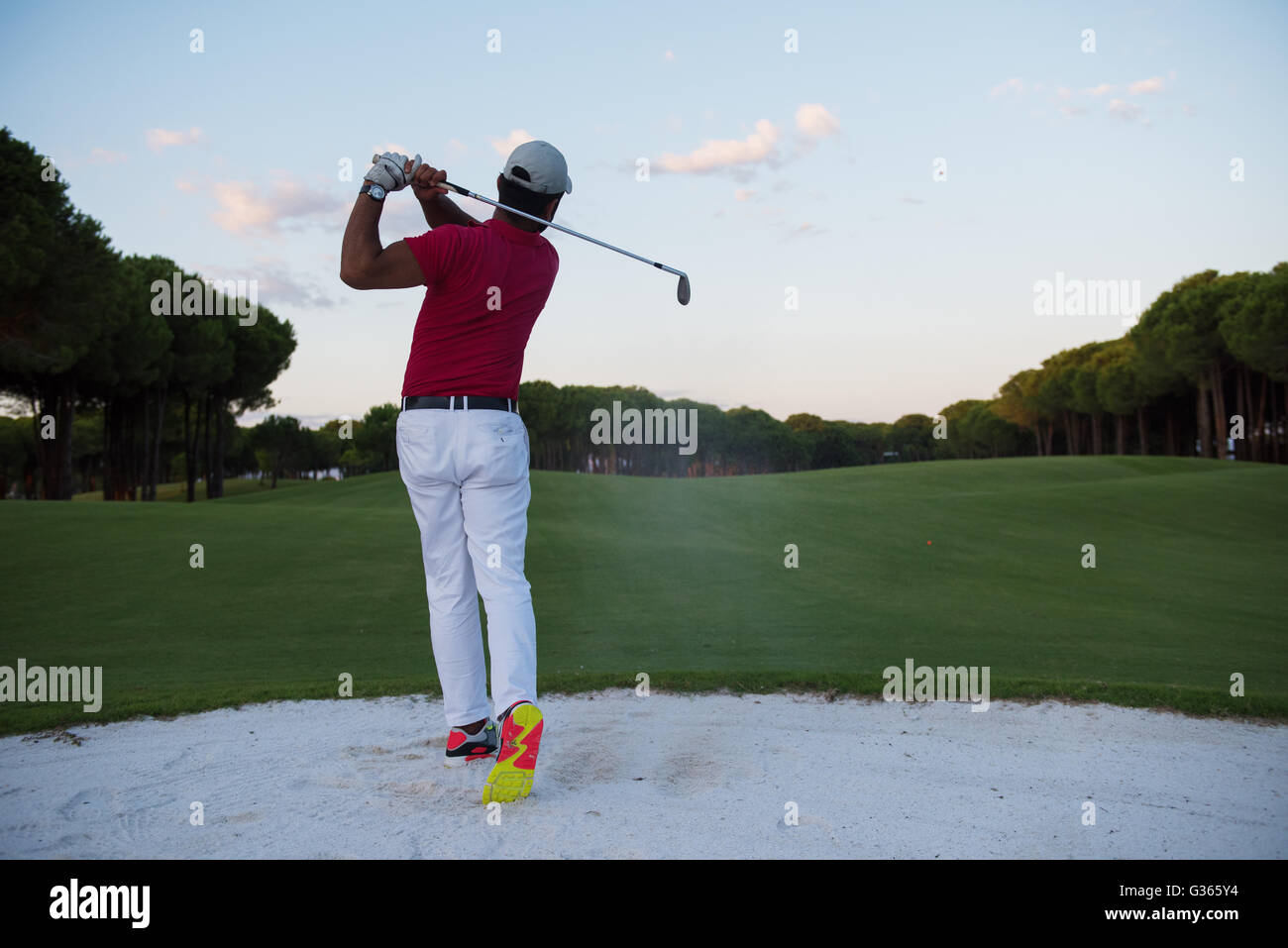 golf player shot ball from sand bunker at course with beautiful sunset ...