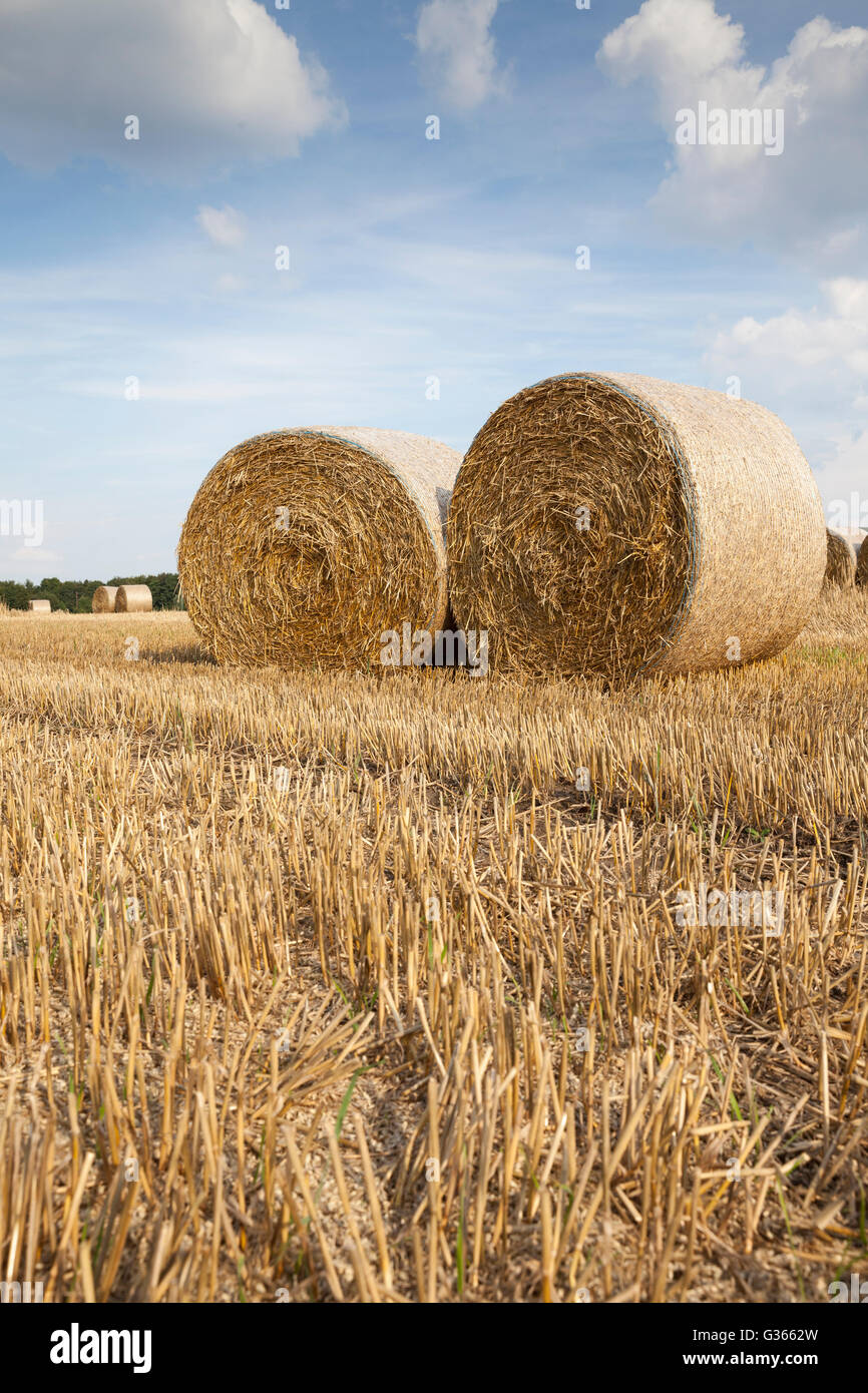 Stubble field with bale of straw Stock Photo - Alamy