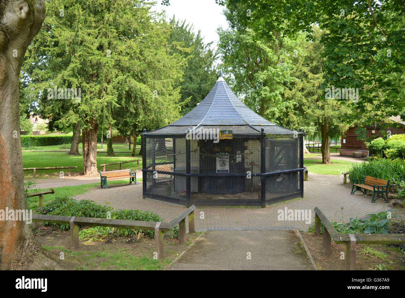 Aviary birds hi-res stock photography and images - Alamy