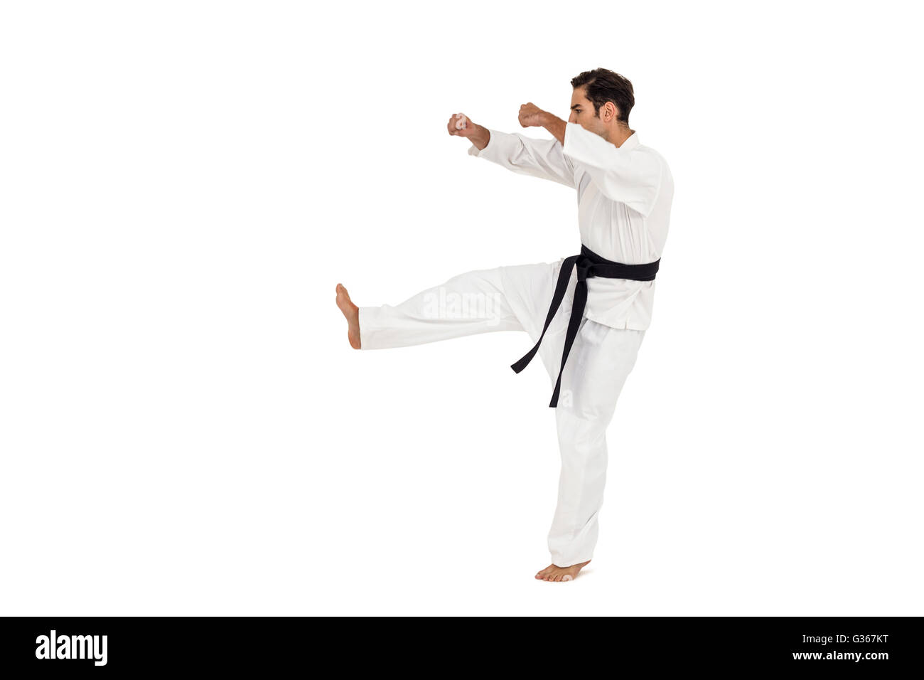 Fighter performing karate stance Stock Photo - Alamy