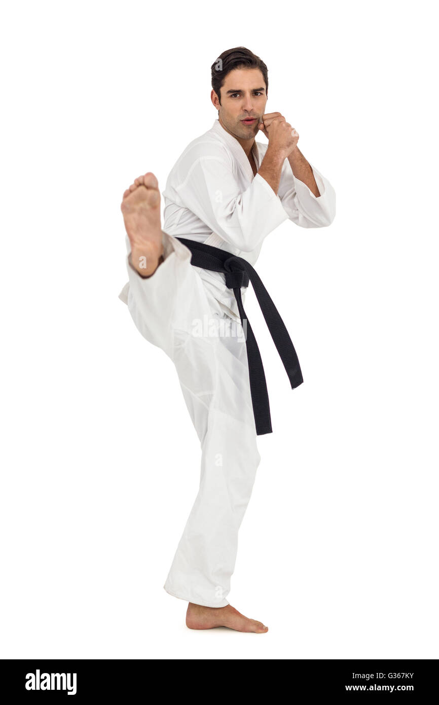 Fighter performing karate stance Stock Photo - Alamy