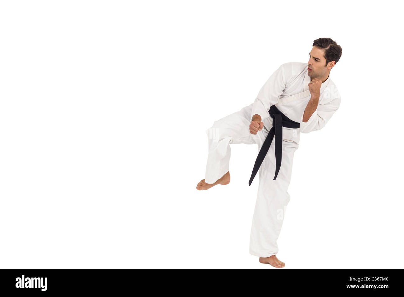 Fighter performing karate stance Stock Photo - Alamy