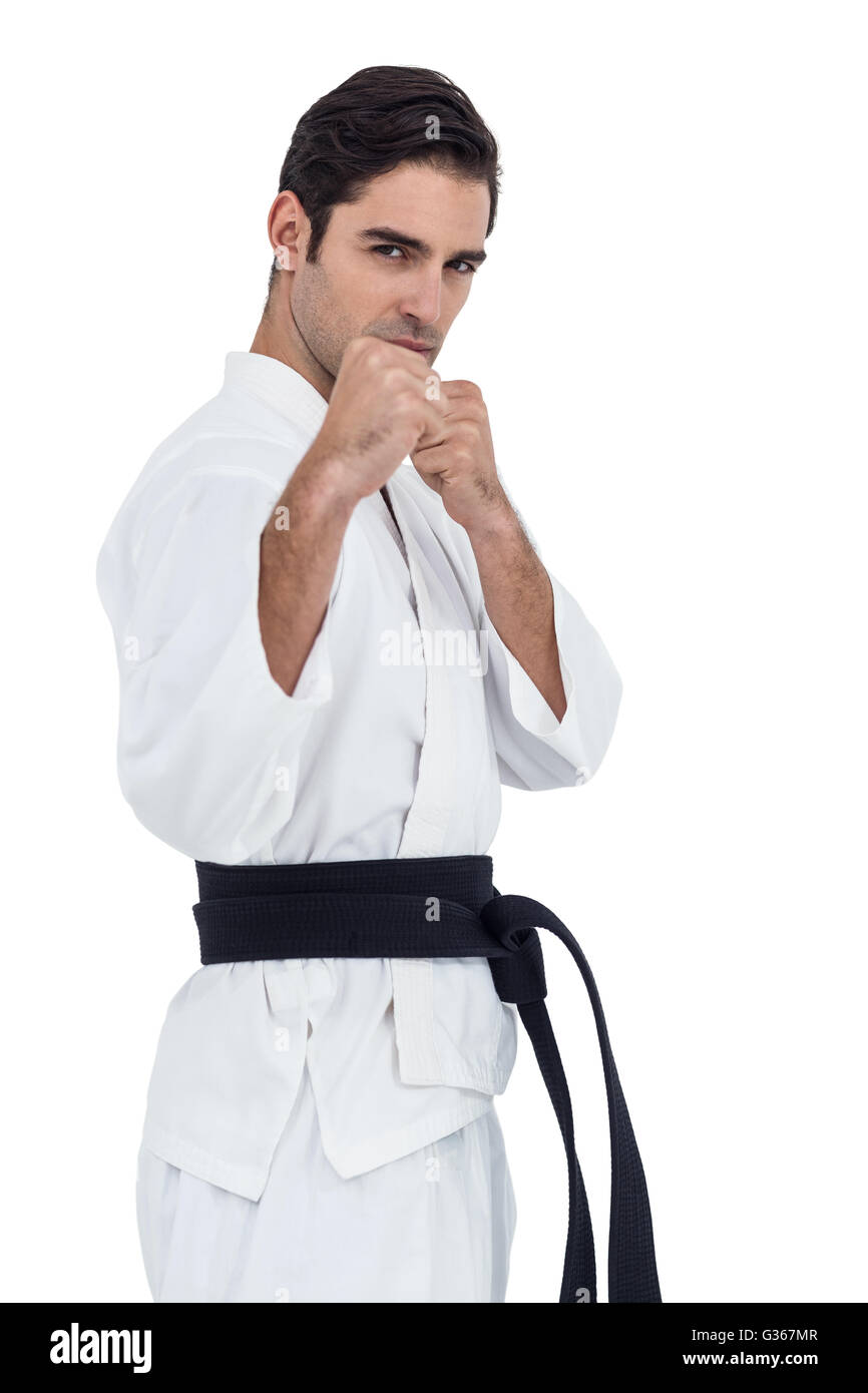 Fighter performing karate stance Stock Photo - Alamy