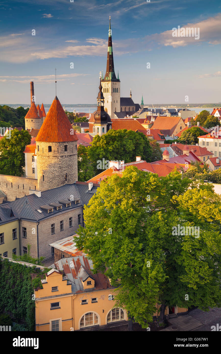 Vertical tallinn hi-res stock photography and images - Alamy
