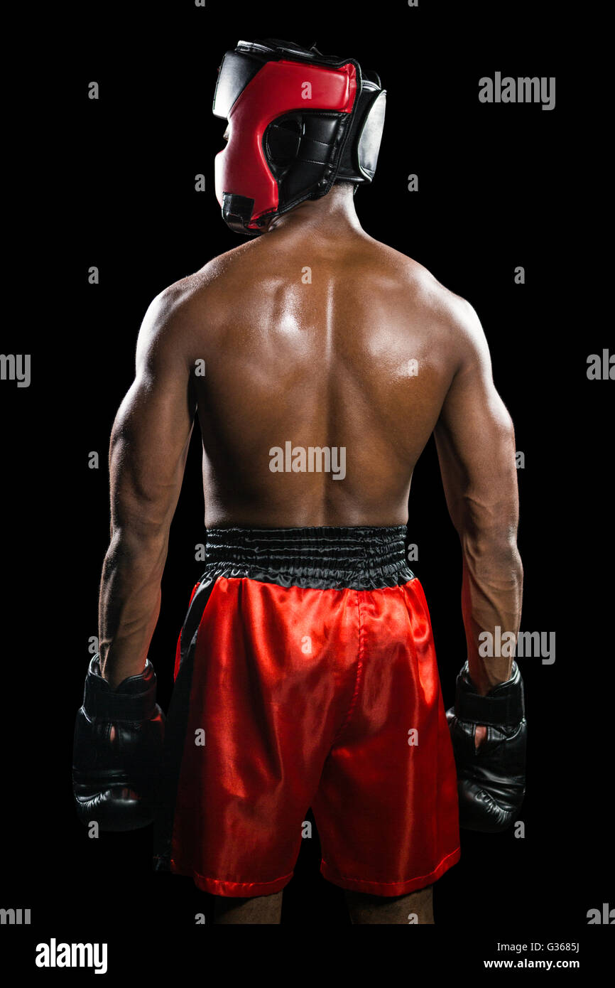 Rear view of boxer standing Stock Photo - Alamy