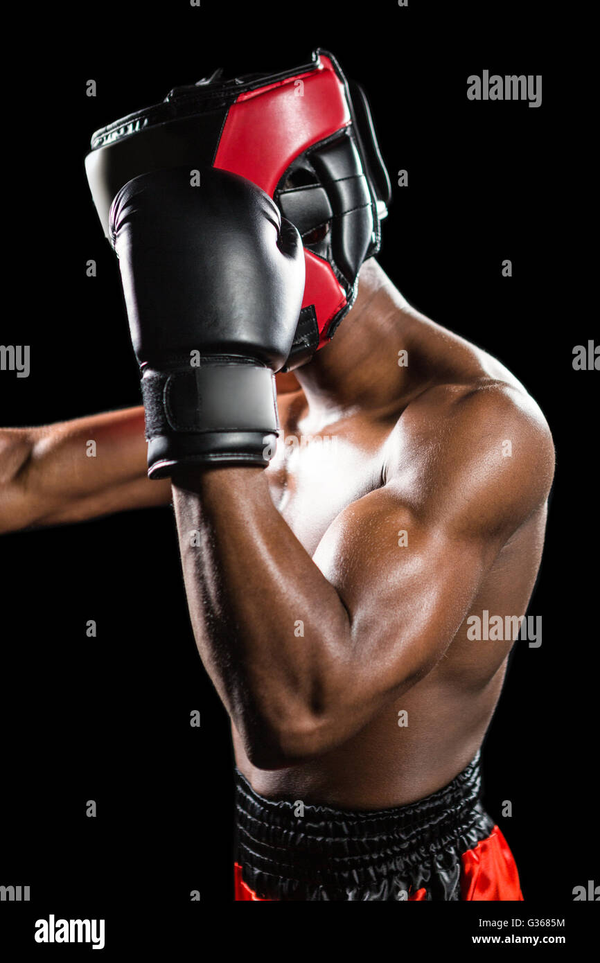 Boxer performing upright stance Stock Photo - Alamy