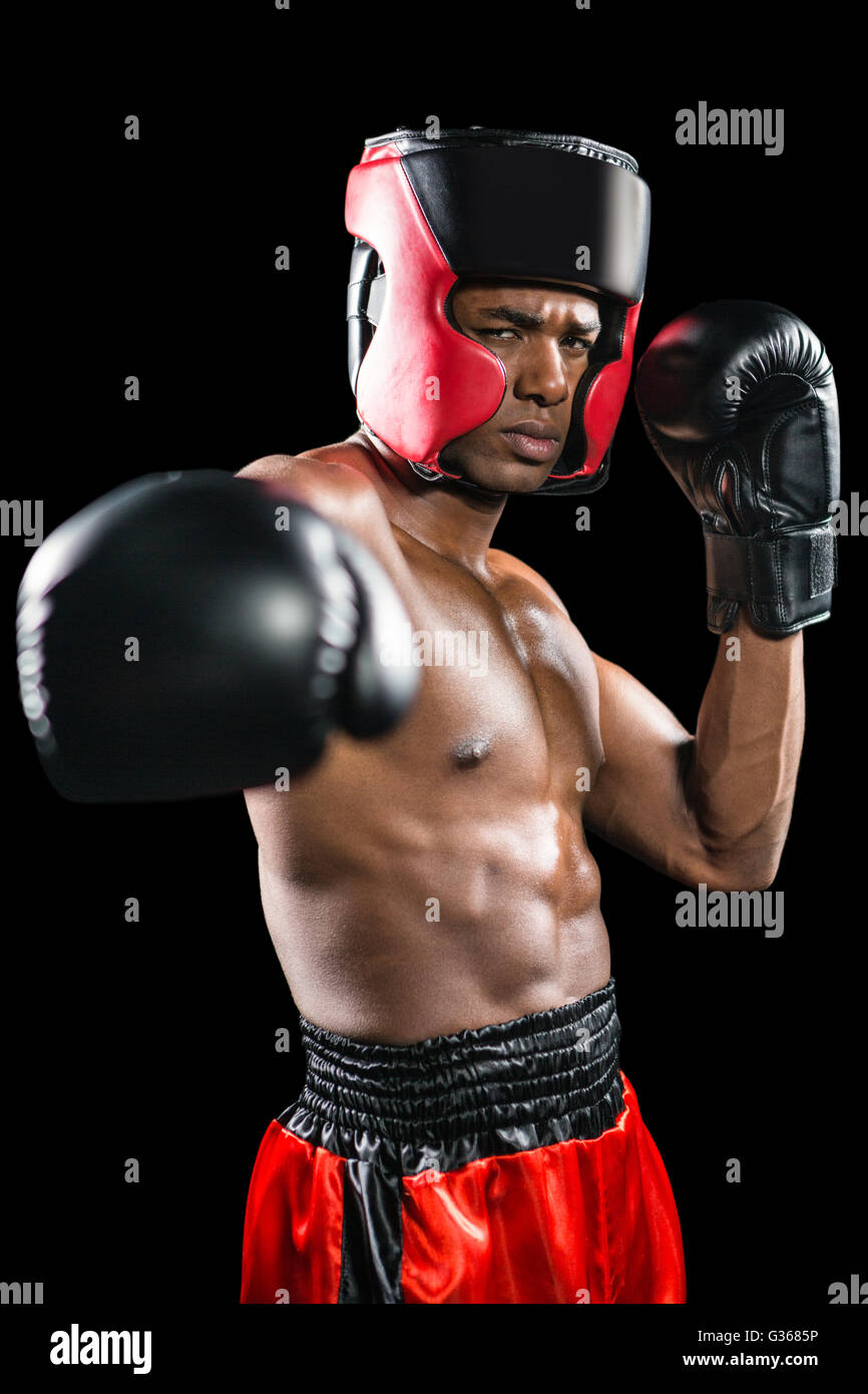 Boxer performing upright stance Stock Photo - Alamy