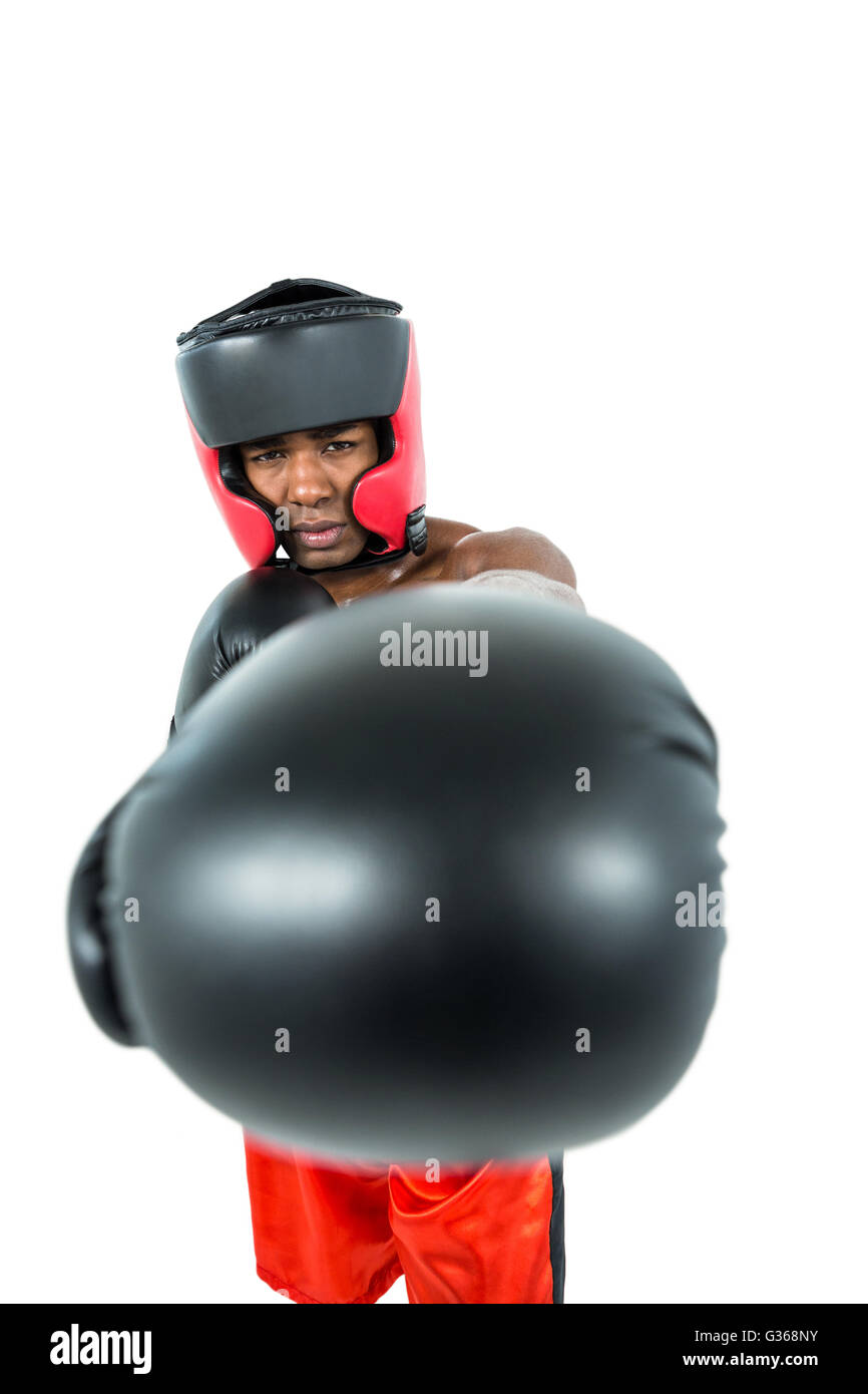 Boxer looking up hi-res stock photography and images - Alamy