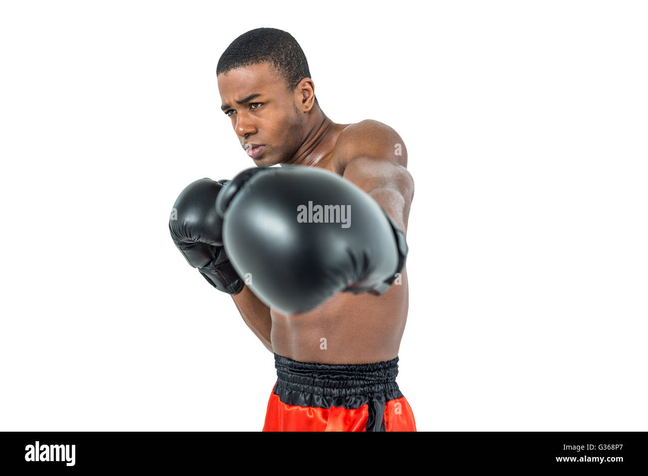 Boxer performing upright stance Stock Photo - Alamy