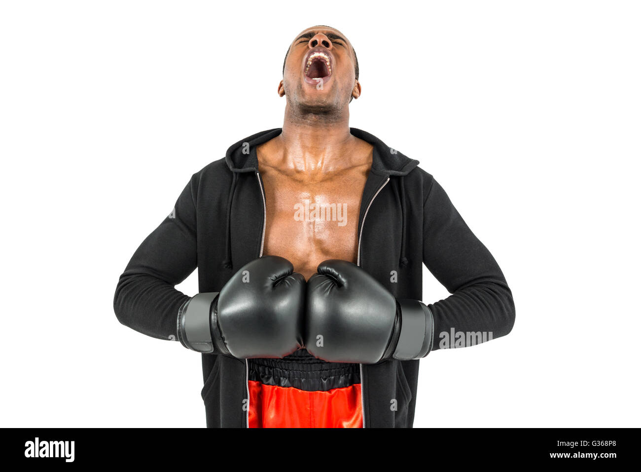 Boxer hi-res stock photography and images - Alamy