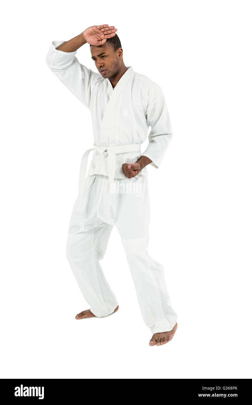 Fighter performing karate stance Stock Photo - Alamy