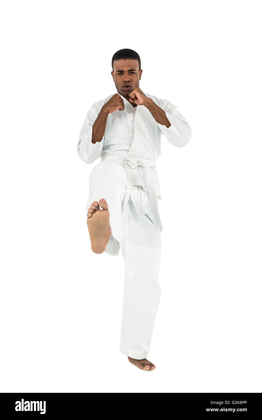 Fighter performing karate stance Stock Photo - Alamy