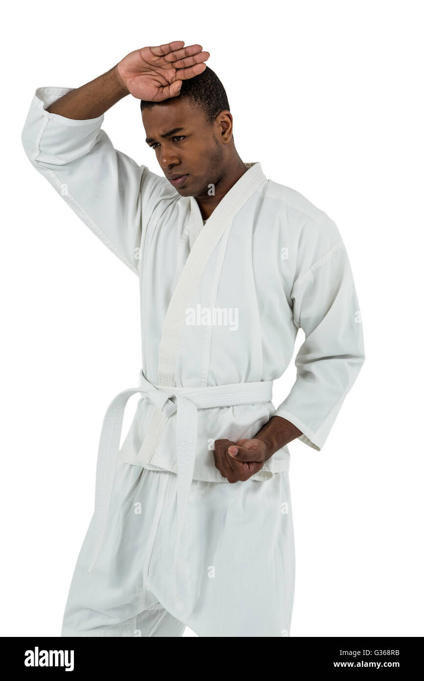 Fighter performing karate stance Stock Photo - Alamy