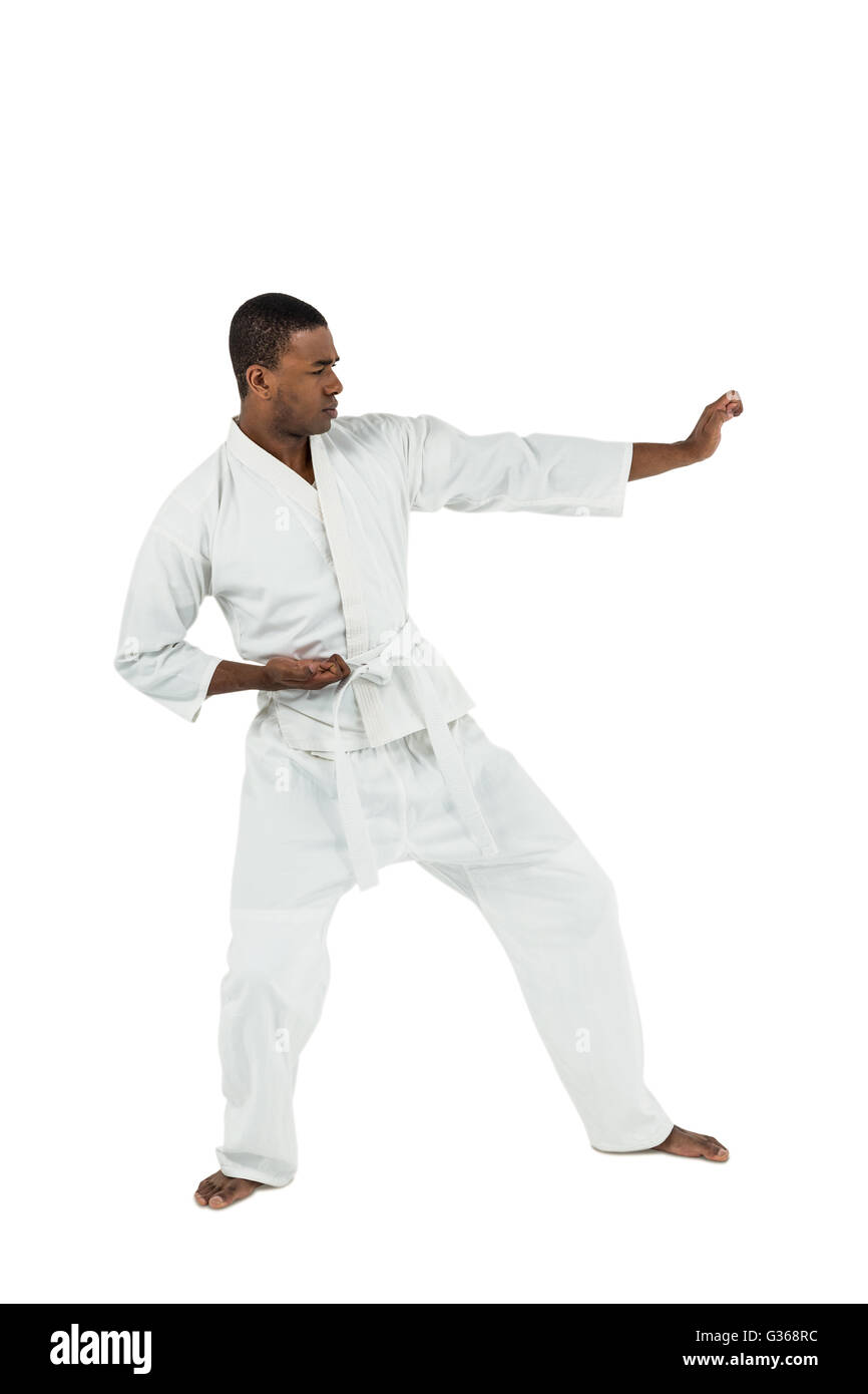 Fighter performing karate stance Stock Photo - Alamy