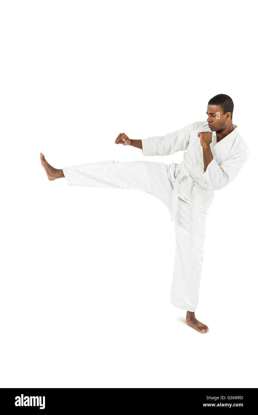 Fighter performing karate stance Stock Photo - Alamy