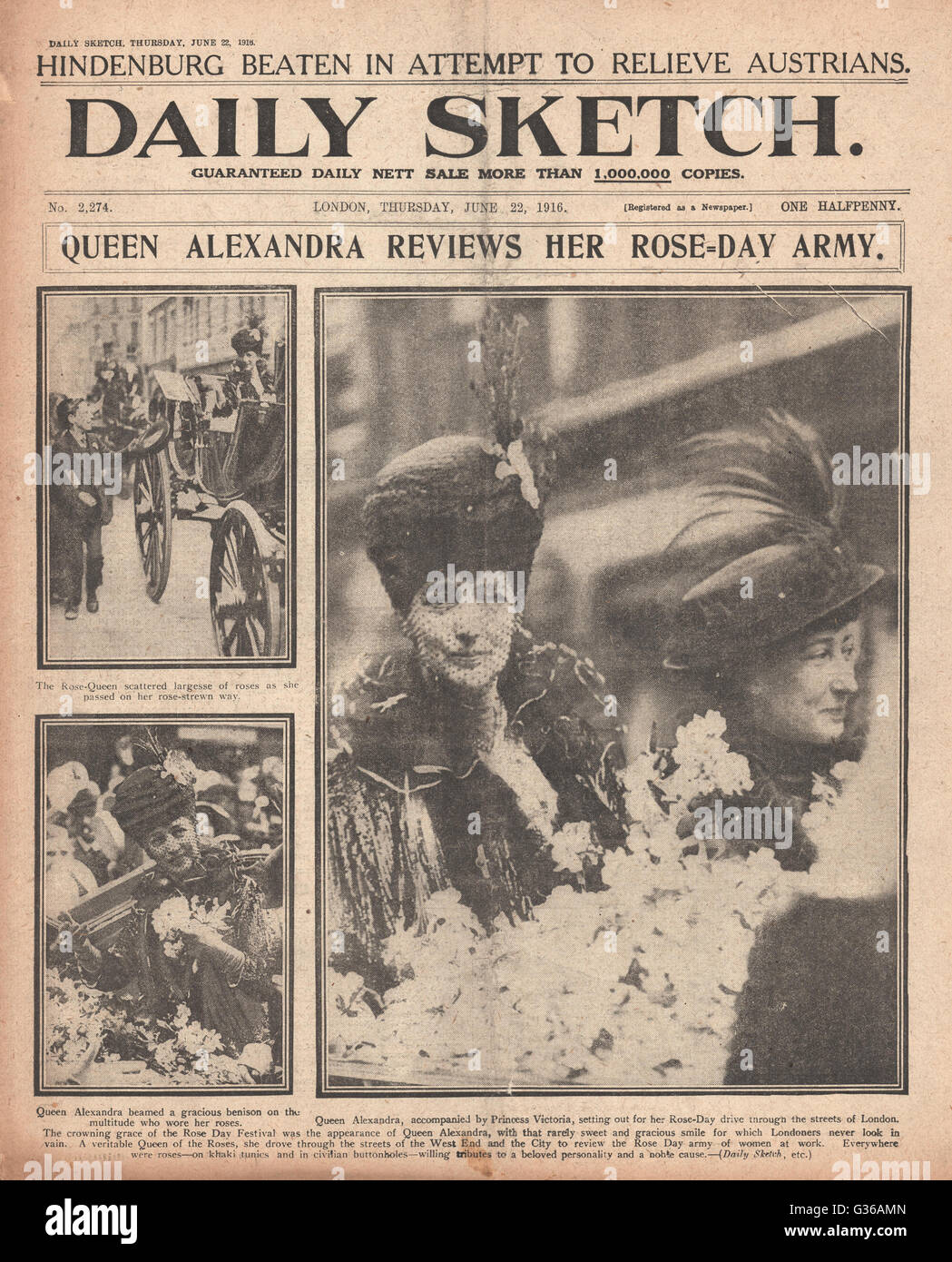 Alexandra rose day hi-res stock photography and images - Alamy