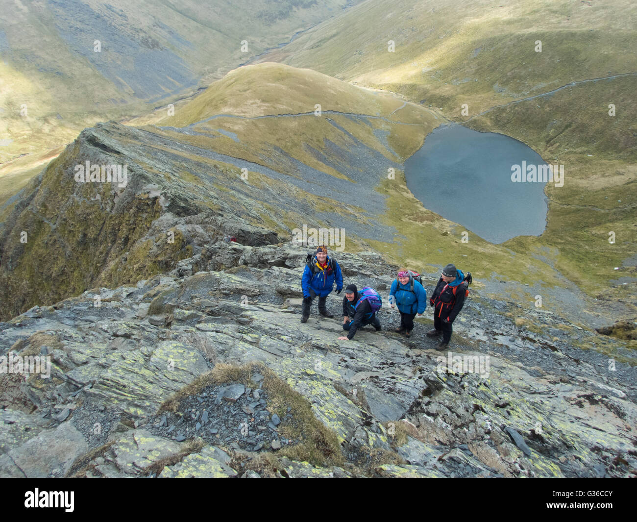 Scrambling on Sharp Edge, Blencathra, Lake District National Park Stock ...