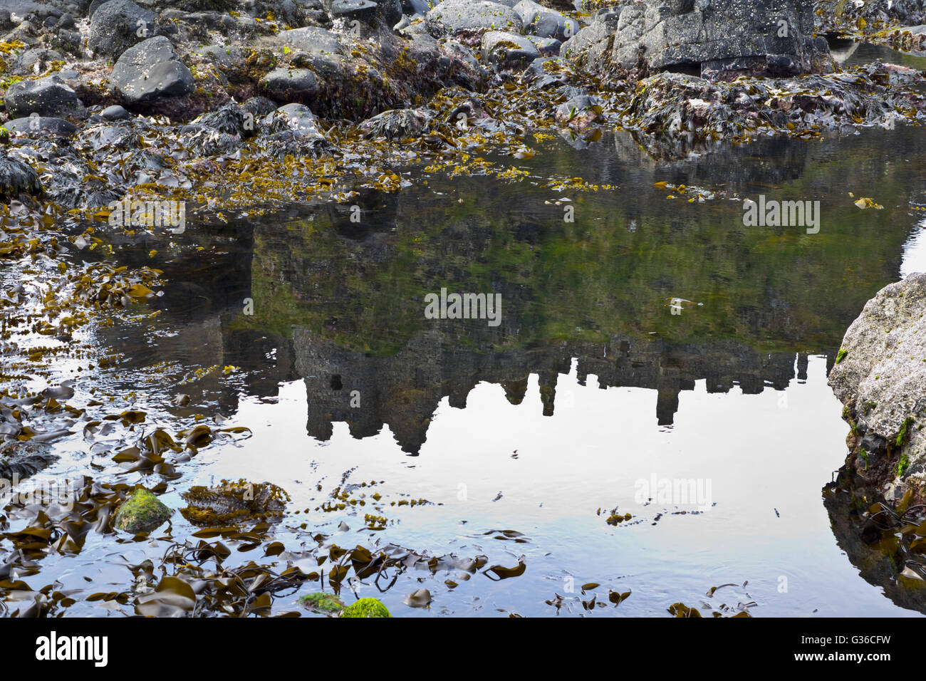 reflection in rock pool Dunluce Castle Stock Photo - Alamy