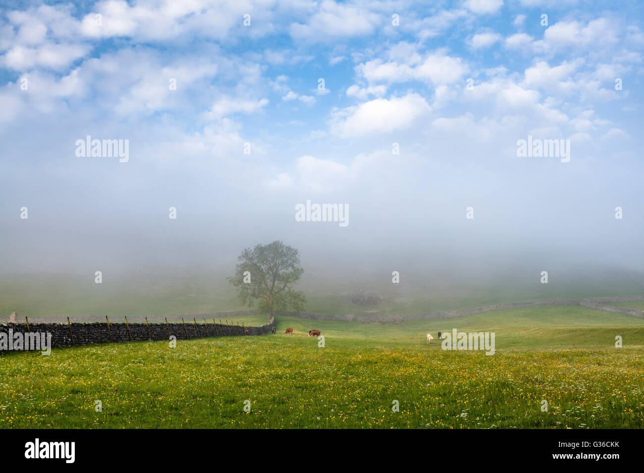 Summer mist hi-res stock photography and images - Alamy