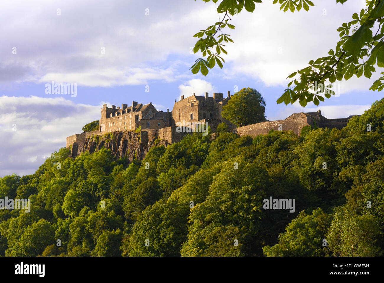 Stirling castle royal palace hi-res stock photography and images - Alamy
