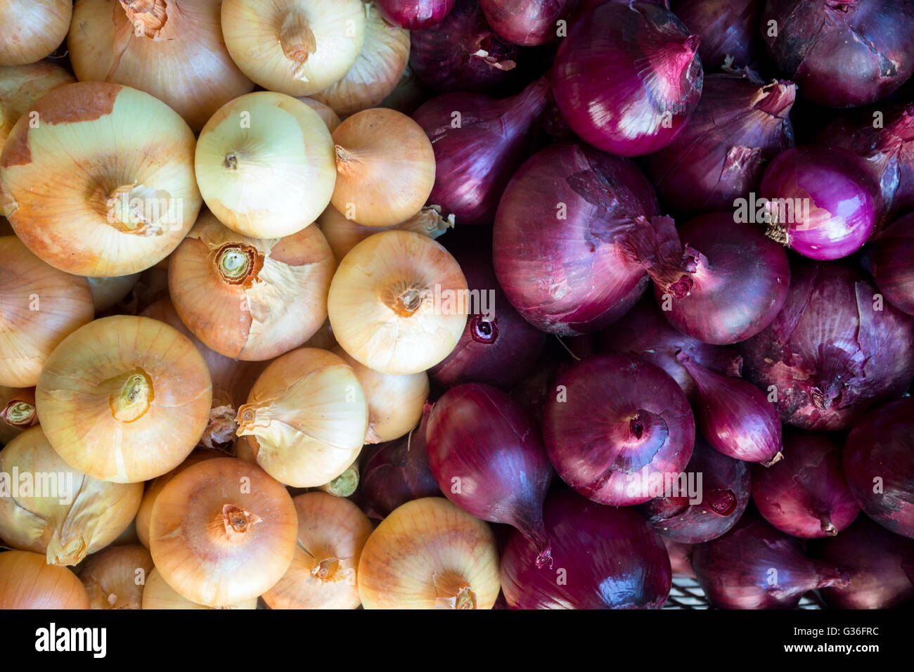Strong onion odor hi-res stock photography and images - Alamy