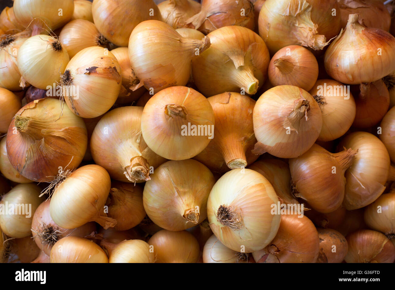 Yellow onions crop. Close up Stock Photo - Alamy