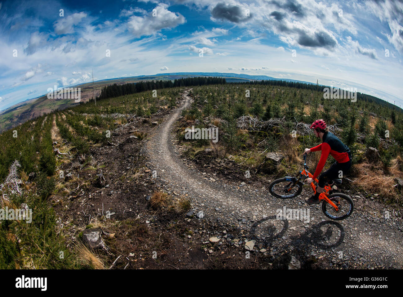 A mountain biker rides a trail at Bike Park Wales near Merthyr Tydfil ...