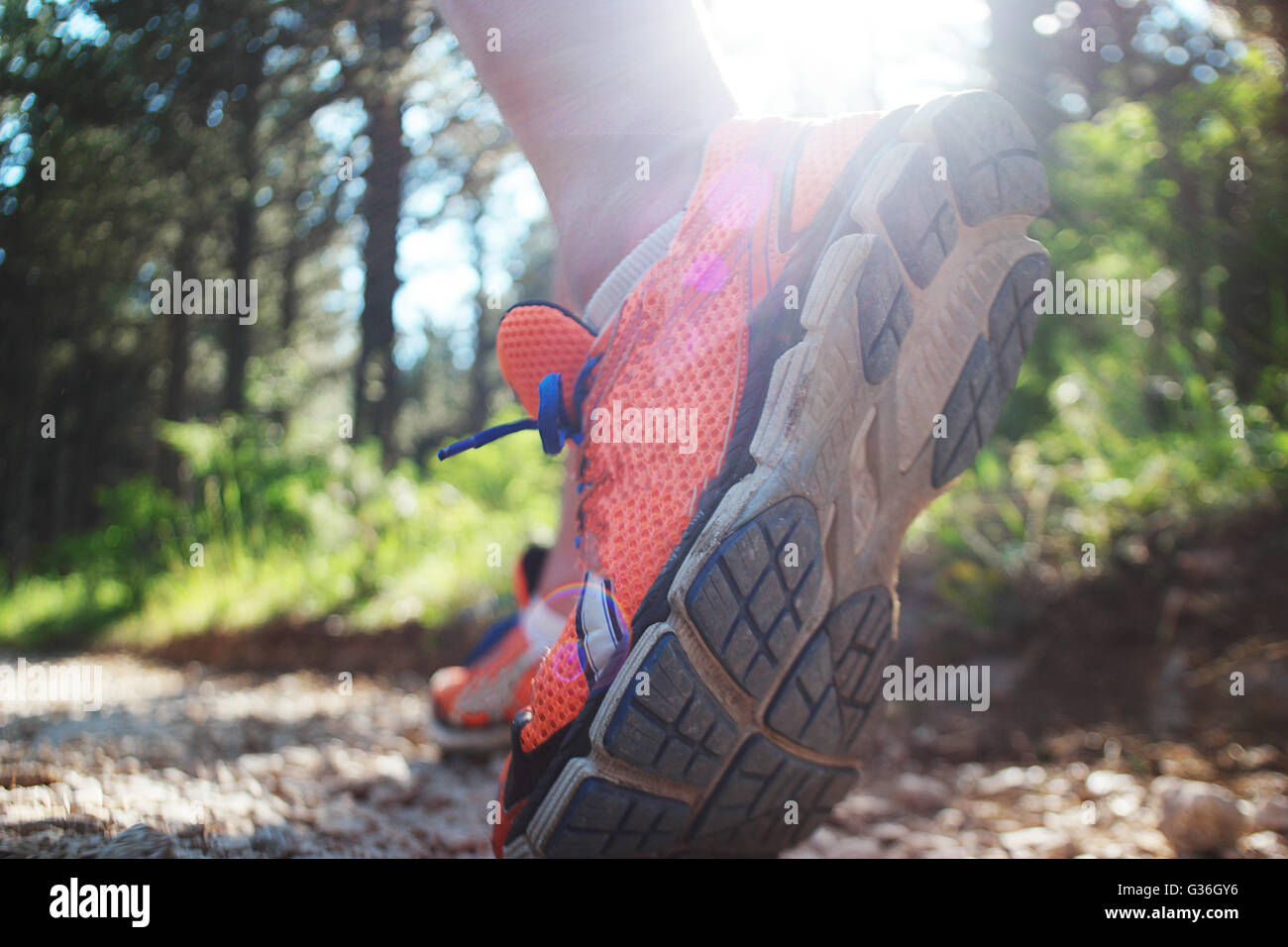 Close up of man walking on nature trail near forest preserve. Color ...