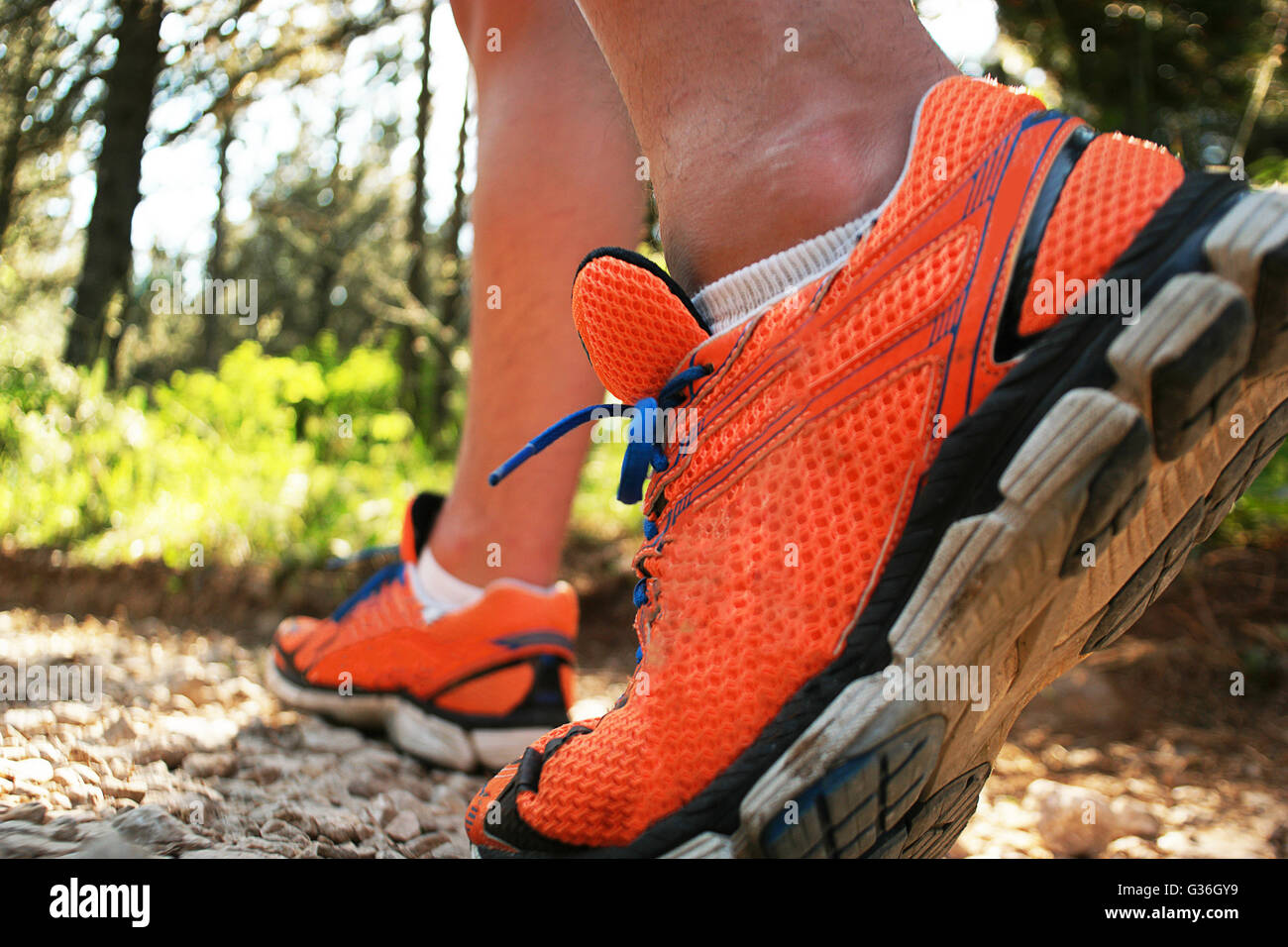 Close up of man walking on nature trail near forest preserve. Color ...