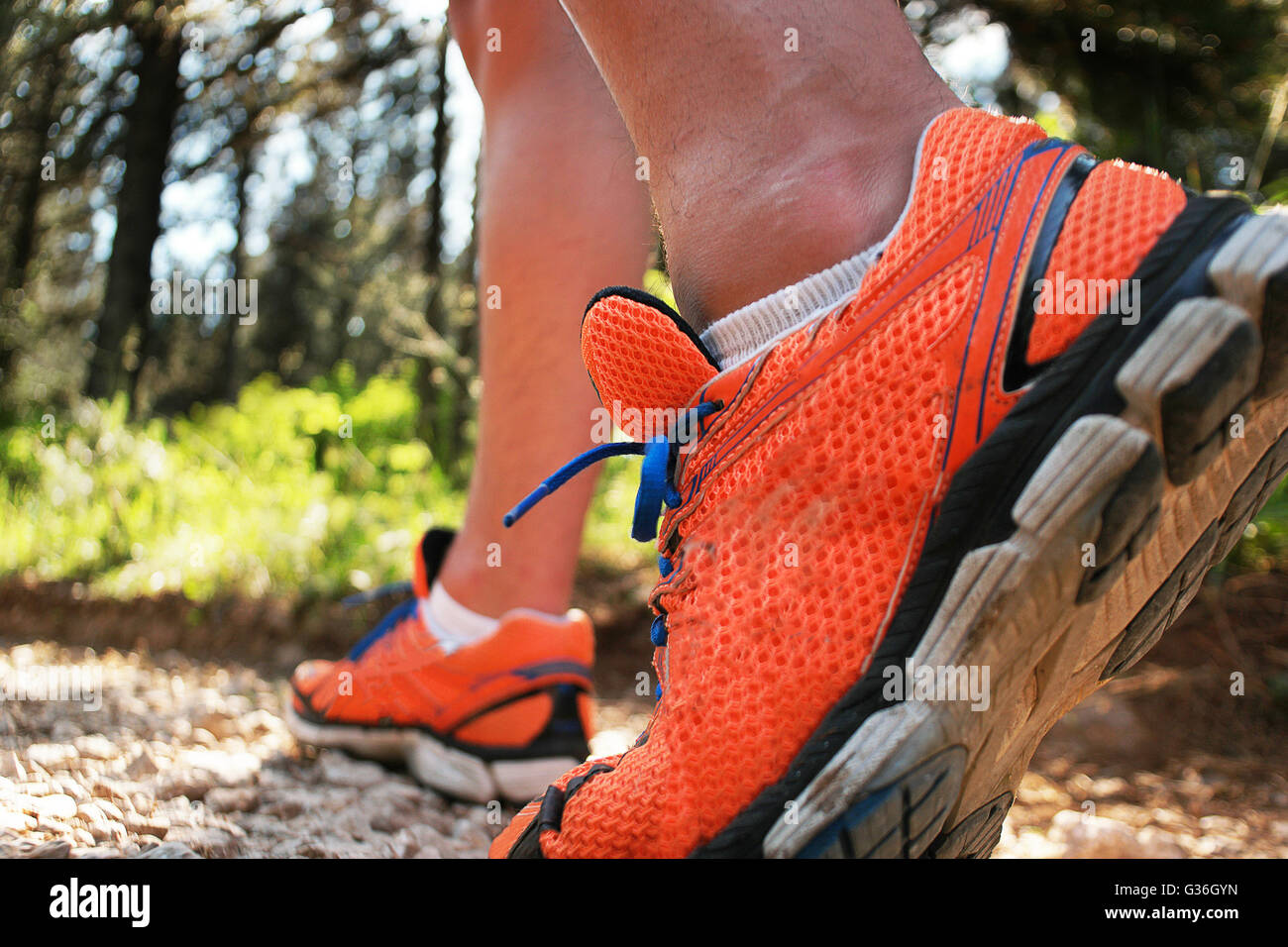 Close up of man walking on nature trail near forest preserve. Color ...