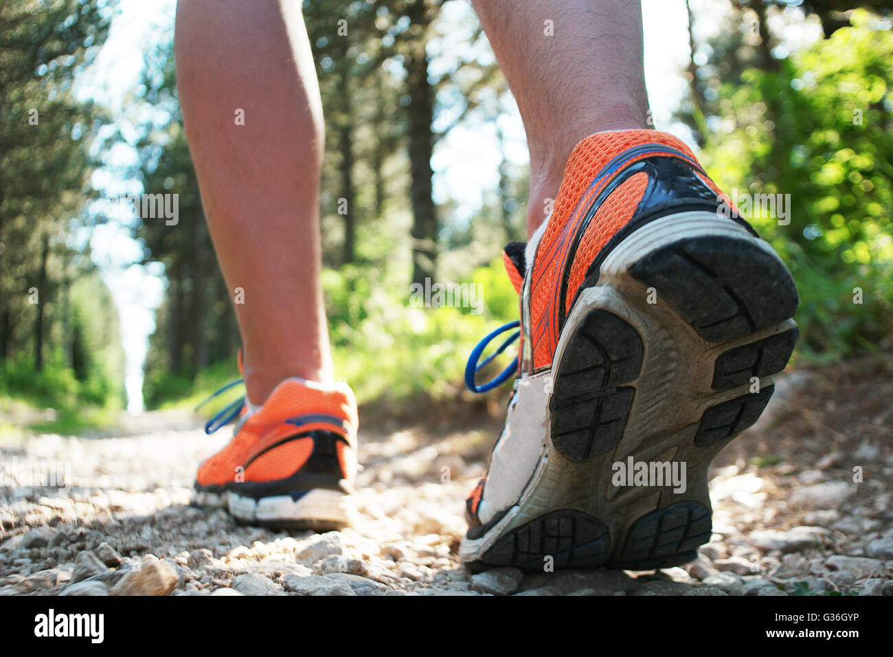Close up of man walking on nature trail near forest preserve. Color ...