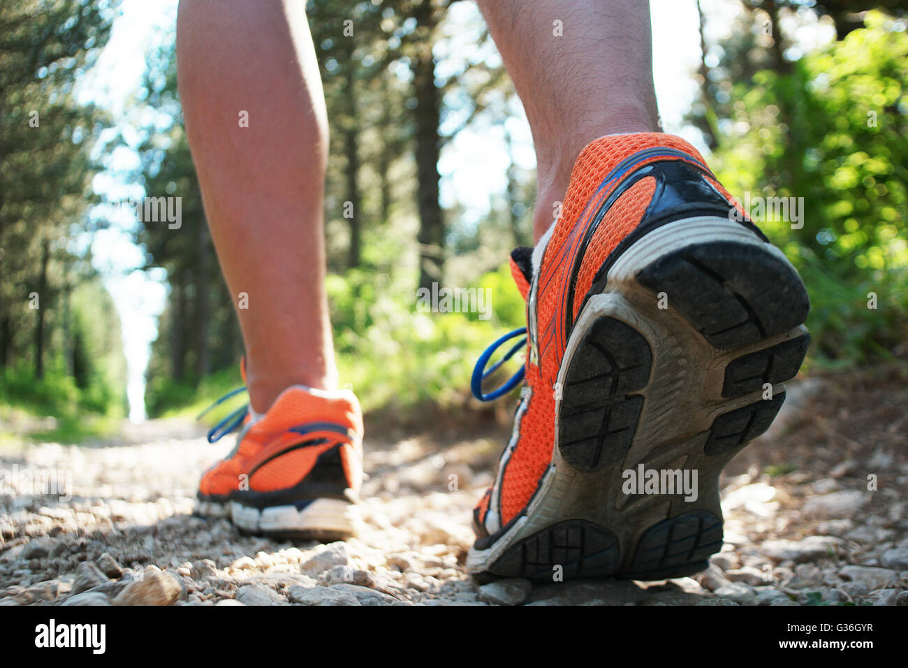 Close up of man walking on nature trail near forest preserve. Color ...
