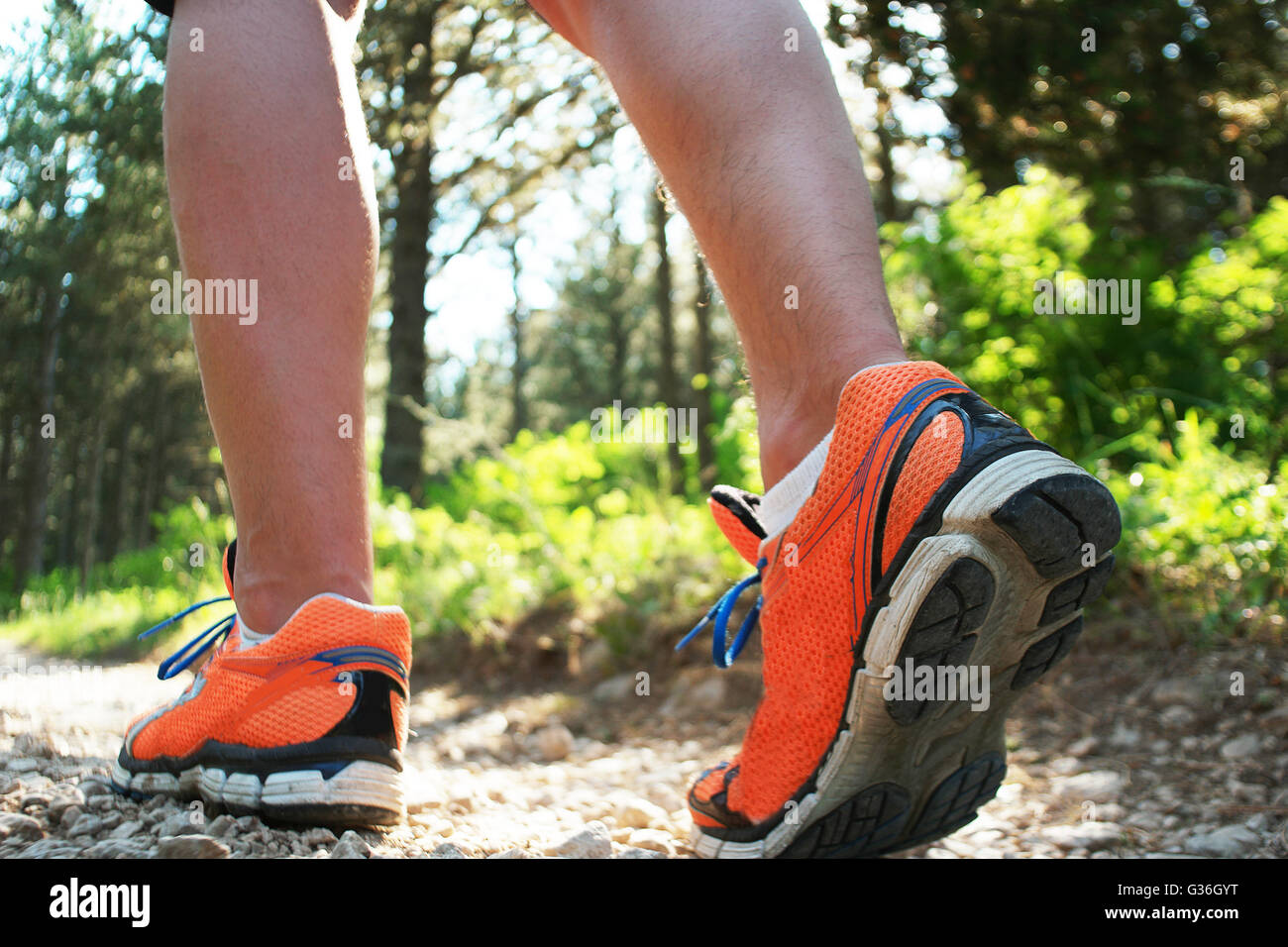 Close up of man walking on nature trail near forest preserve. Color ...