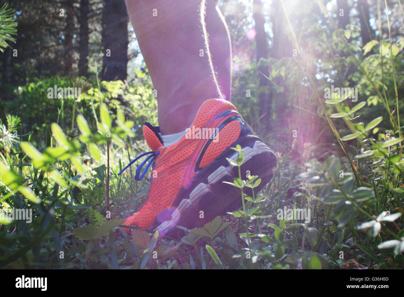 Close up of man walking on nature trail near forest preserve. Color ...