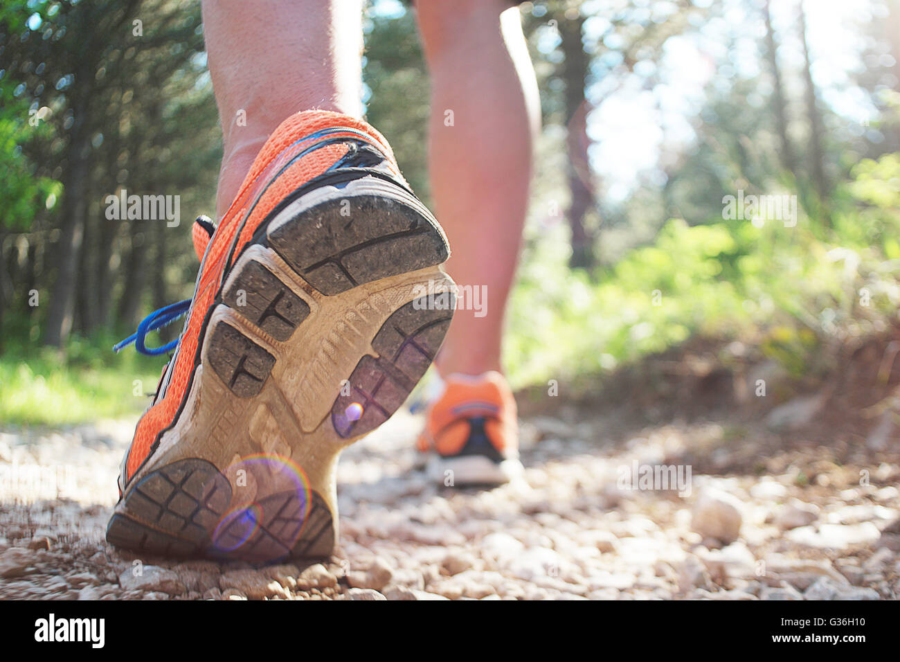 Close up of man walking on nature trail near forest preserve. Color ...