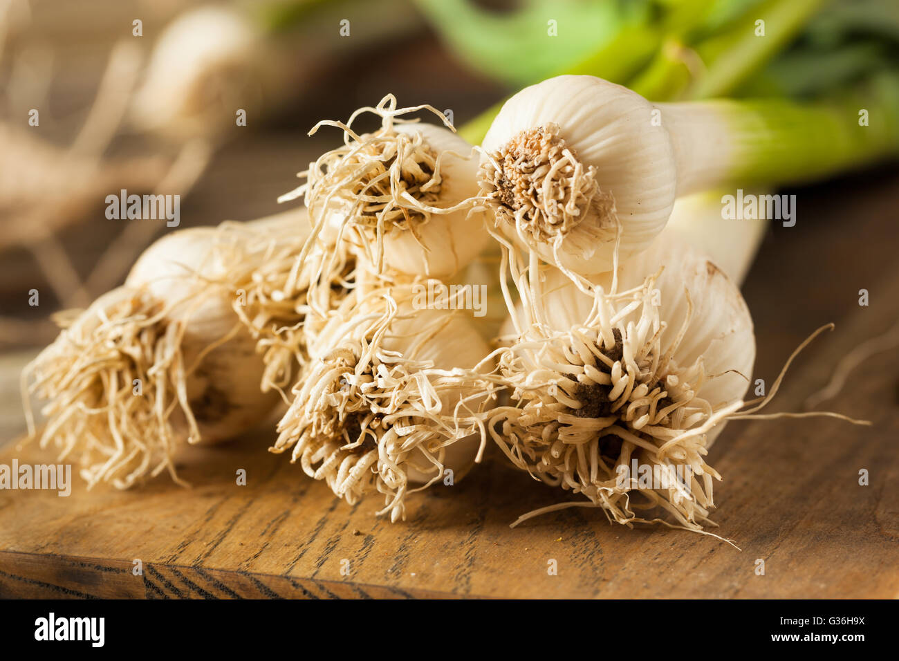 Green garlic cloves hi-res stock photography and images - Alamy