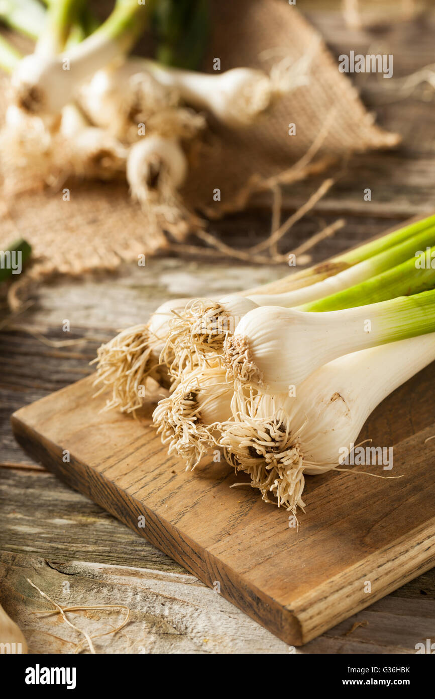 Green garlic cloves hi-res stock photography and images - Alamy